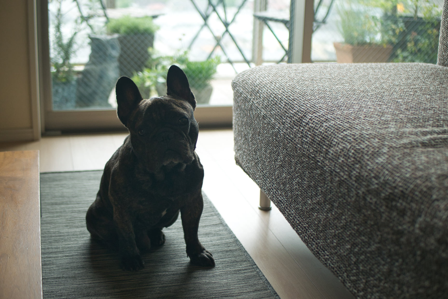 ずっとそこにいたくなるような - interior studio Curro